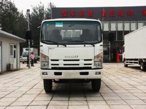 ISUZU 700P 6 Meter Cargo Truck - ISUZU Vehicles