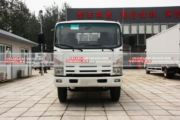 ISUZU 700P 6 Meter Cargo Truck - ISUZU Vehicles